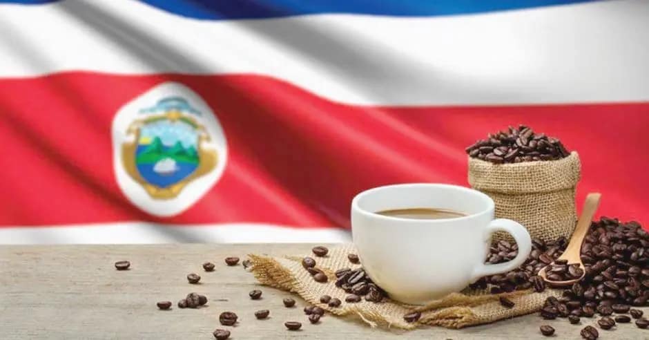 Café de Costa Rica - Cómo hacer café